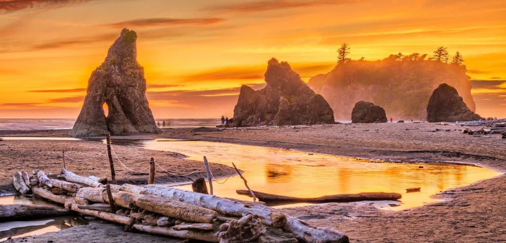 Washington Adjuster Exam Prep — AdjusterPro®