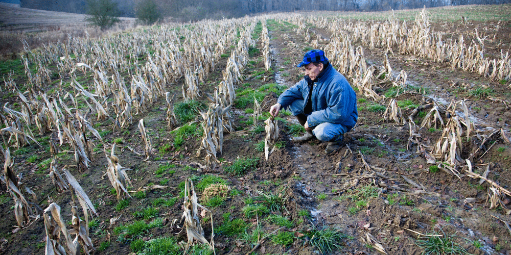 Alabama Crop Adjuster Exam Prep — AdjusterPro®