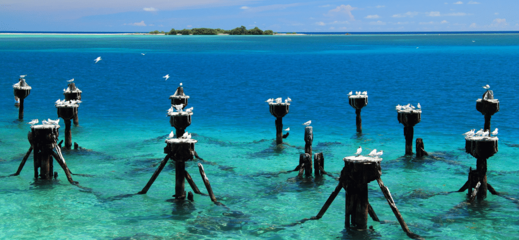 Florida Insurance Adjuster License Types — AdjusterPro®