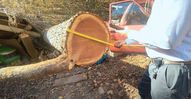 Insurance Adjuster Training: Learning to do the Job — AdjusterPro®